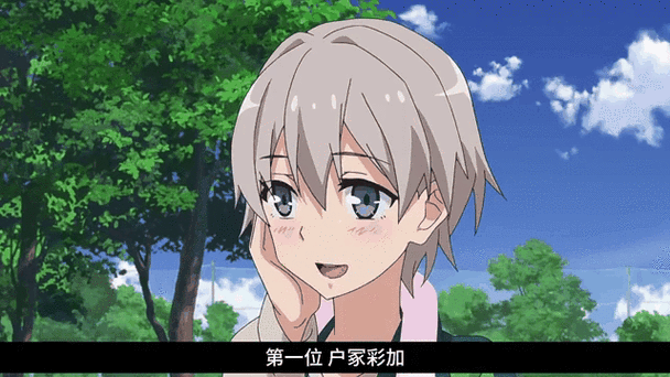 动漫之家pro不能下载图标