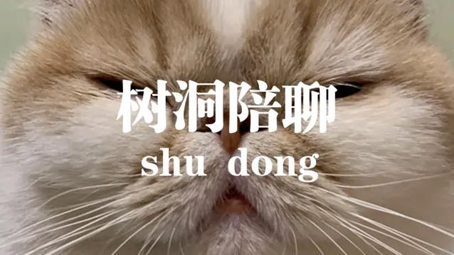 树洞兼职靠谱吗图标