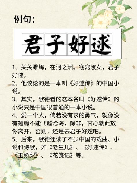 窈窕淑女君子好逑的意思图标