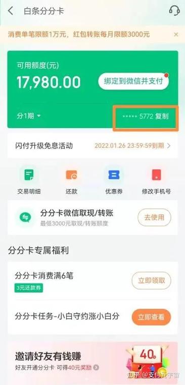 开通白条闪付好不好图标