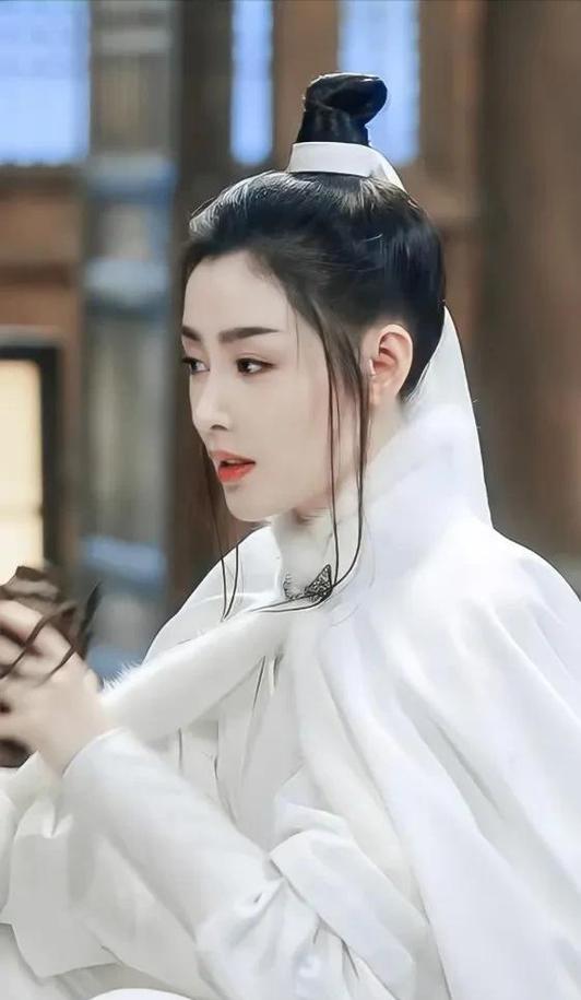 雪中悍刀行徐凤年老婆图标