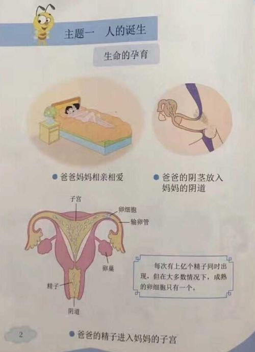 隐私图标