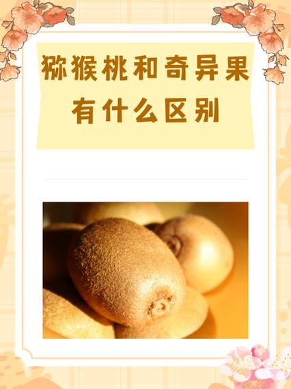 kiwifruit怎么读猕猴桃截图