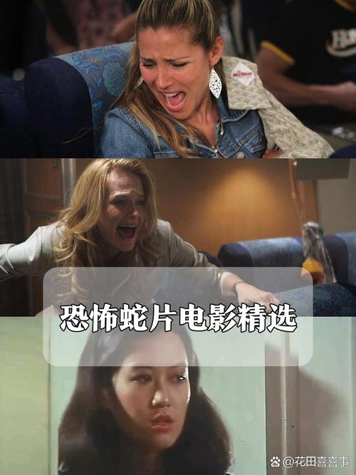 毒蛇影院图标