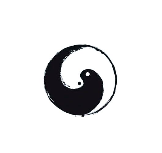 太极鱼寓意图标