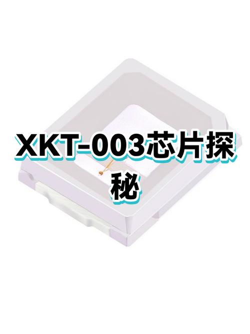 手机qq缓存文件在哪里截图