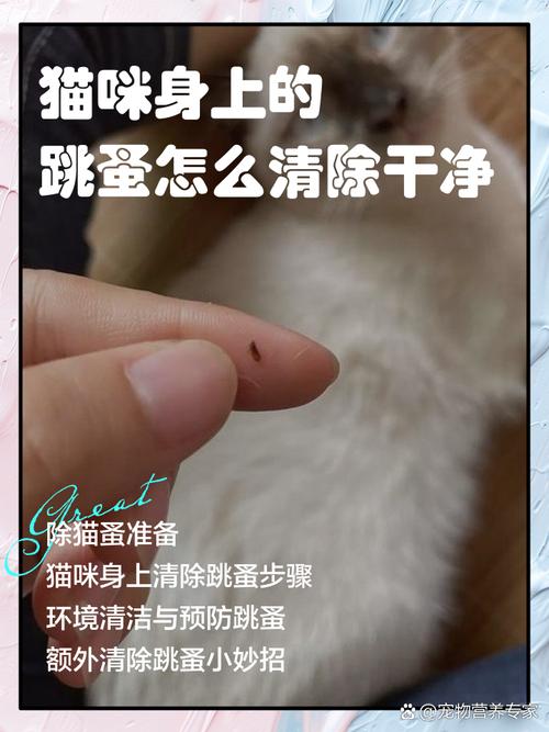 猫身上的跳蚤怎么清除图标