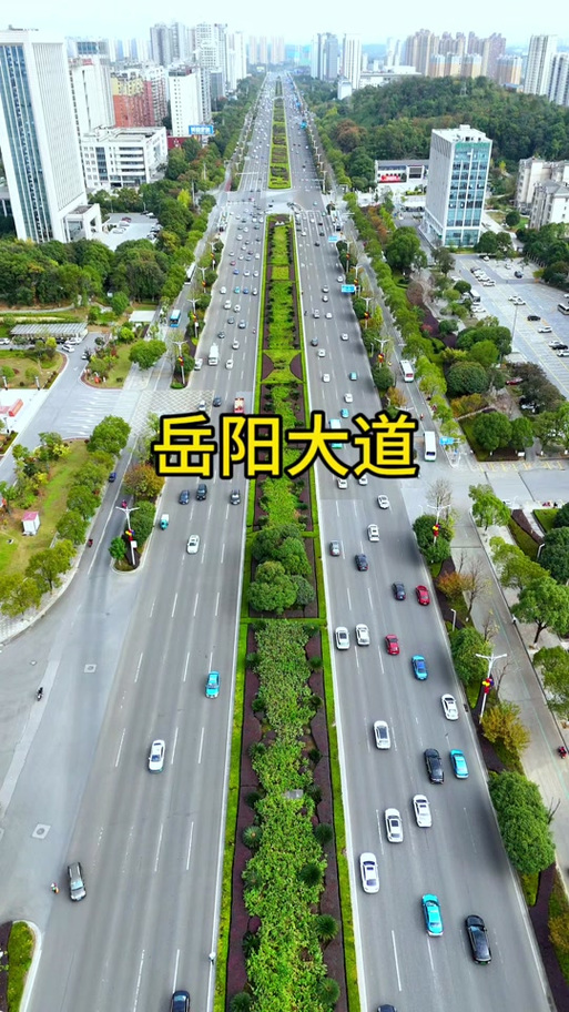 岳阳爱情一条街在哪里图标