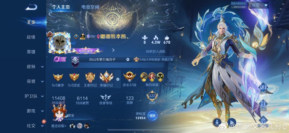 王者vip等级怎么关闭图标
