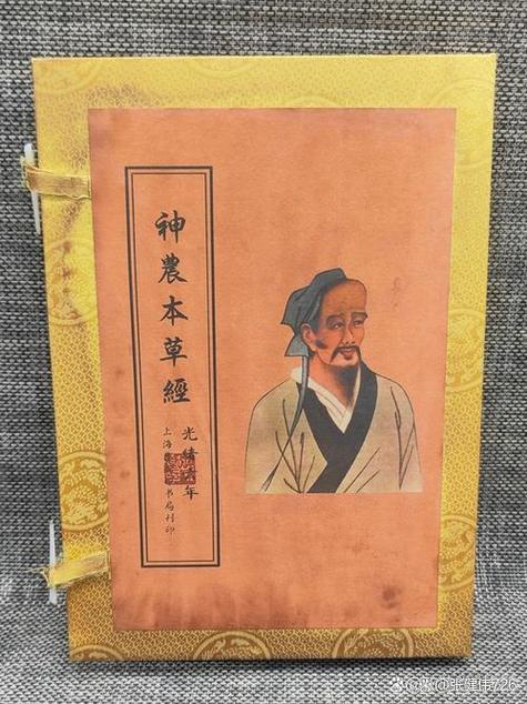 神农全文免费阅读图标