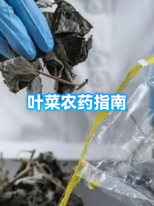 蔬菜常用农药一览表图标