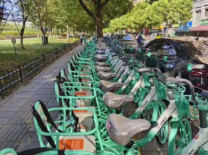 30分钟共享单车有多少能量截图