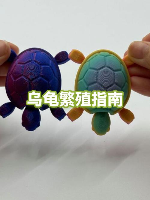乌龟疾病的症状表现图标