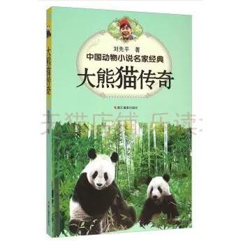 熊猫传奇