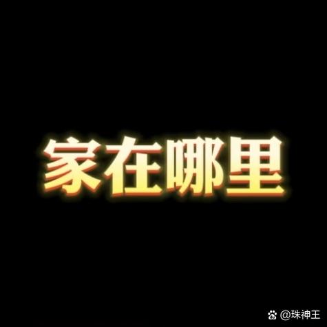 我的都市生活家在哪里截图