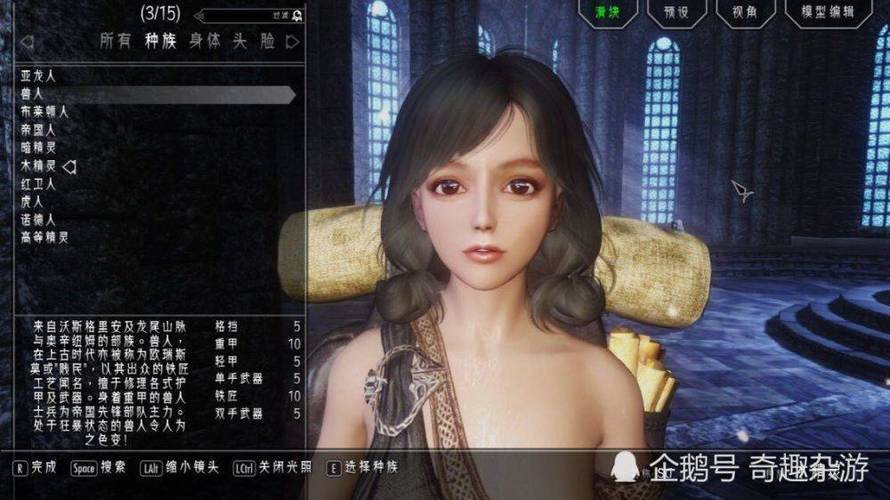 上古卷轴实验室动画不能停止截图