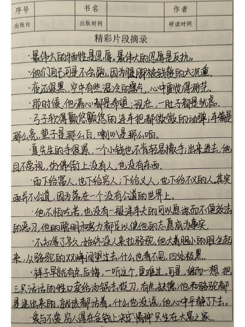 骆驼祥子精彩句段图标
