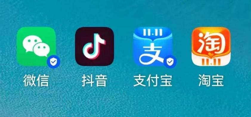 抖音快手支付宝图标