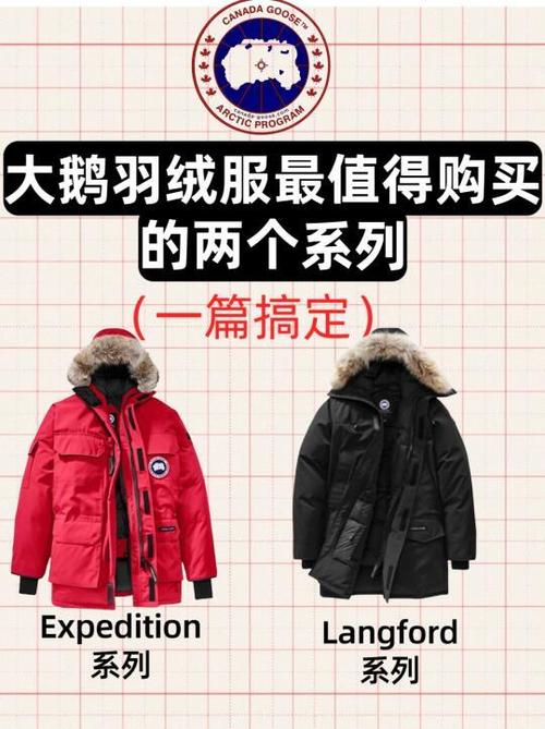 加拿大鹅为什么那么重图标