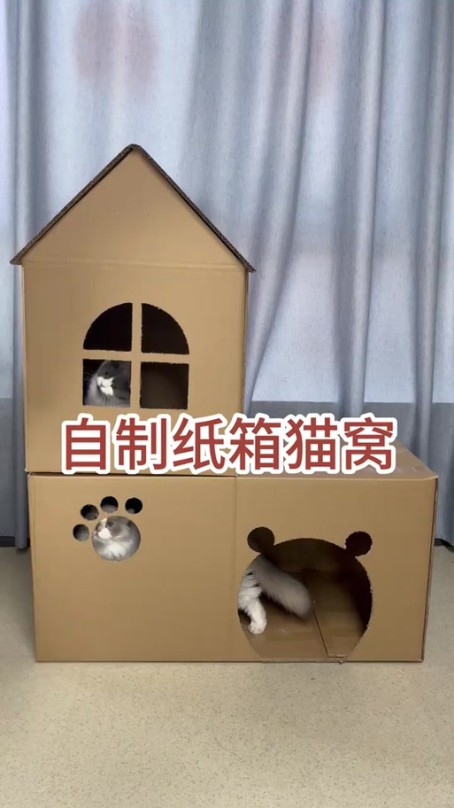 纸箱子做猫窝截图