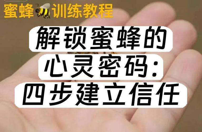 手机密码为什么要告诉老婆图标