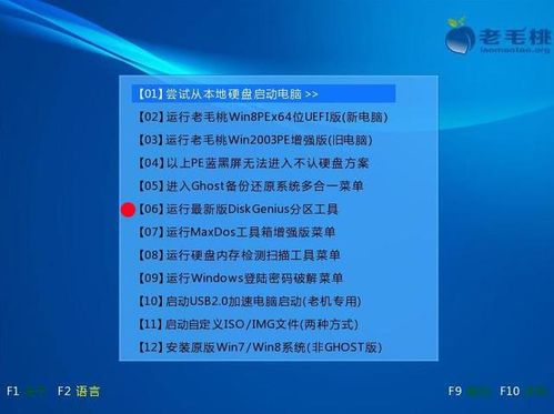 电脑光标一直闪进不去系统怎么办图标