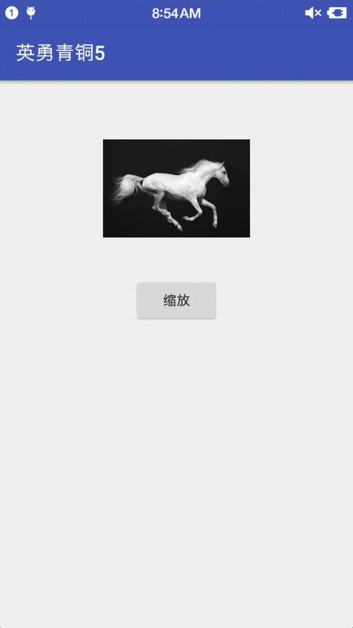 手机动画缩放图标