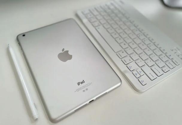 ipadmini2支持笔吗图标