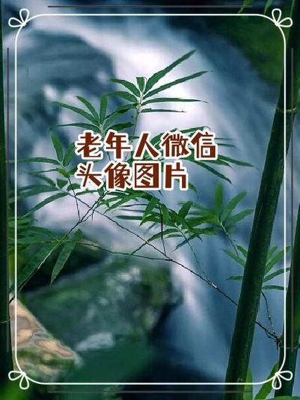 可以玩微信的老年机图标