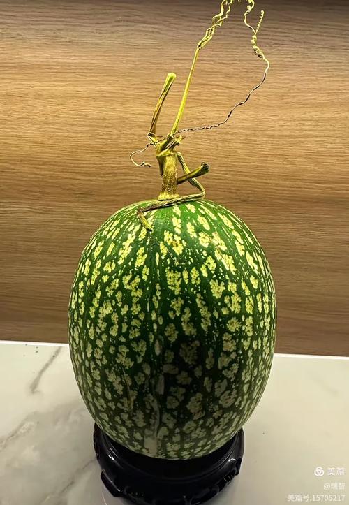 什么叫看瓜