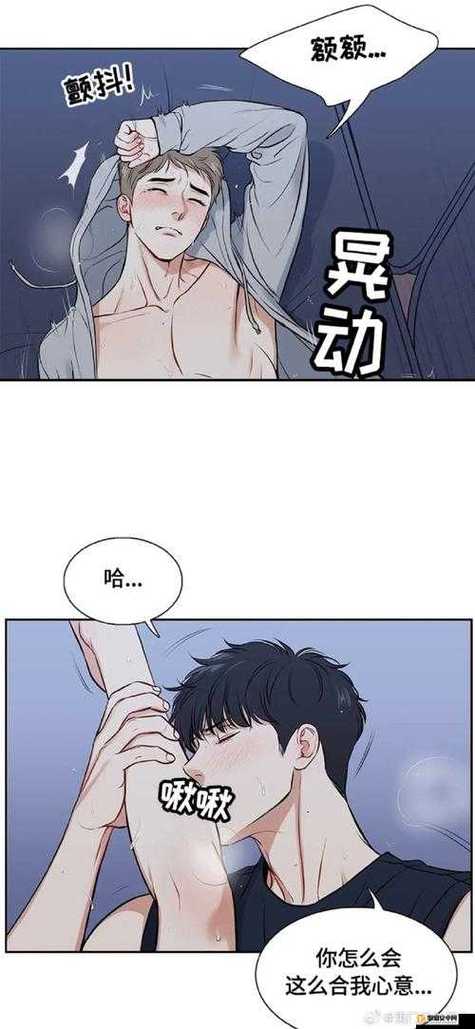 漫画网下拉式阅读图标