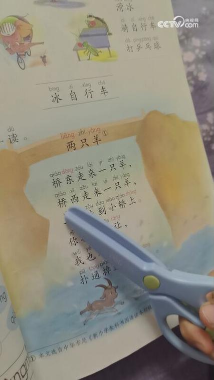 两只羊的短文答案图标
