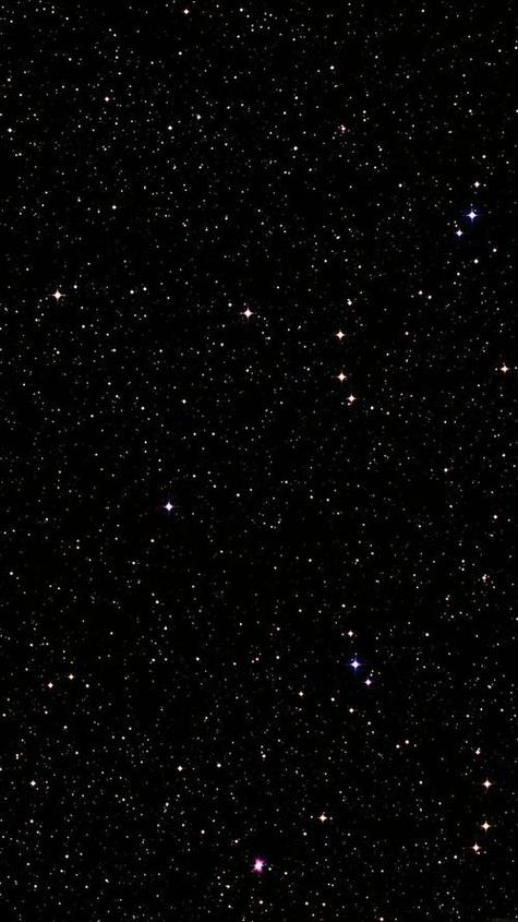 黑色满天星花图标