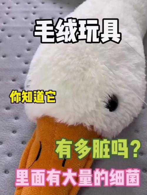 毛绒玩具到底有多脏图标