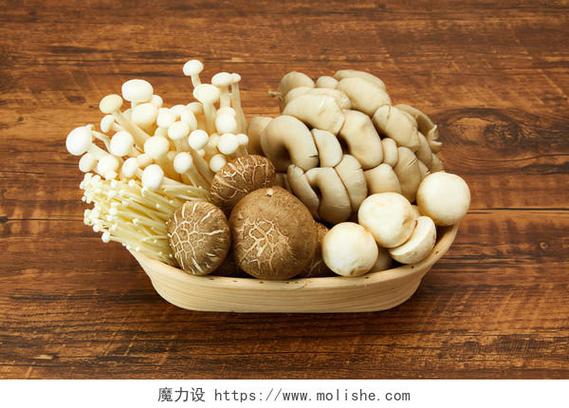 蘑菇是什么菌类图标