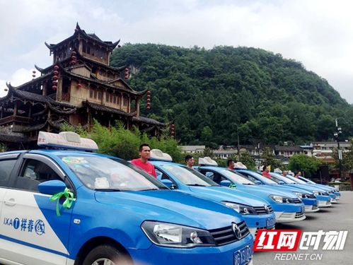 出租车模拟考试50题图标