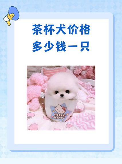 茶杯犬一只多少元截图