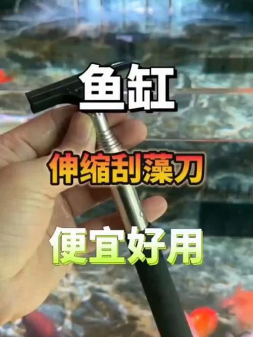 什么吃鱼缸里的粪便图标