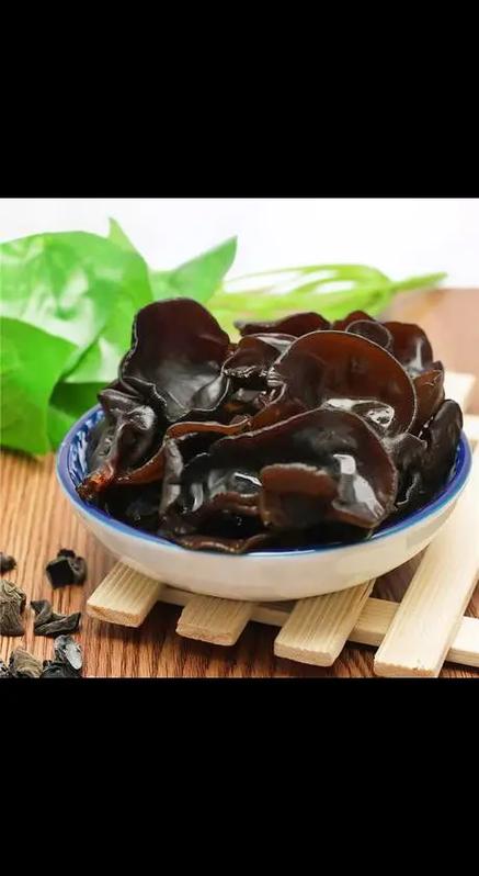 音乐木耳图标