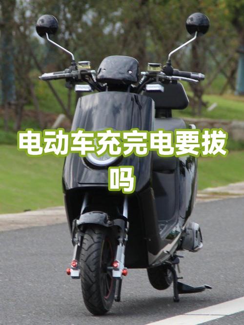 电动车充六个小时可以拔吗截图