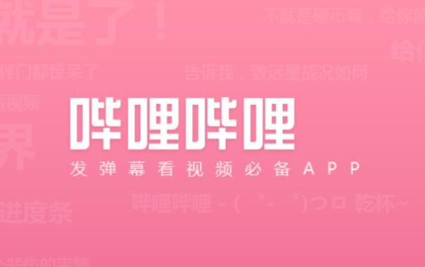 b站和a站分别是什么图标