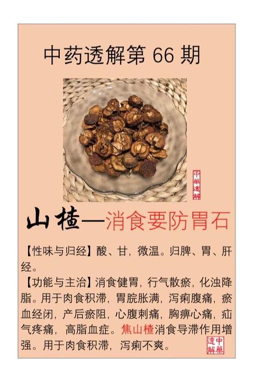 山楂主治什么病最好图标