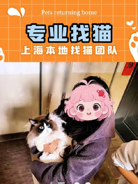 专业抓猫公司图标
