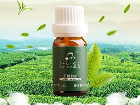 沁花图标