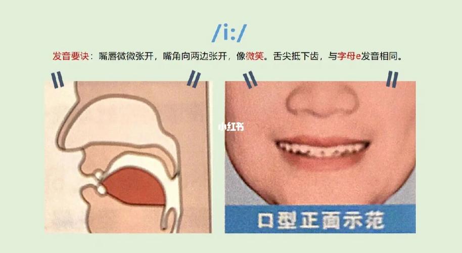 i一共有几种发音截图