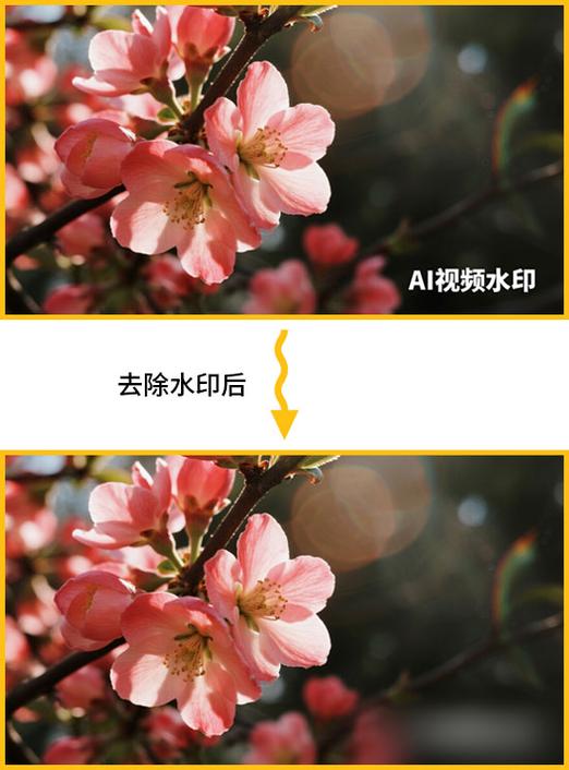 ai视频去水印截图