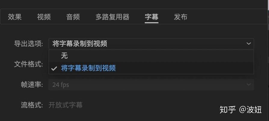 字幕显示不出来图标