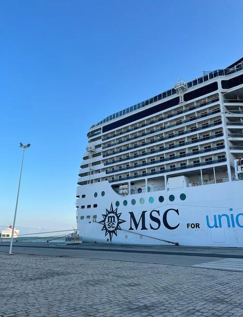 2020年msc截图