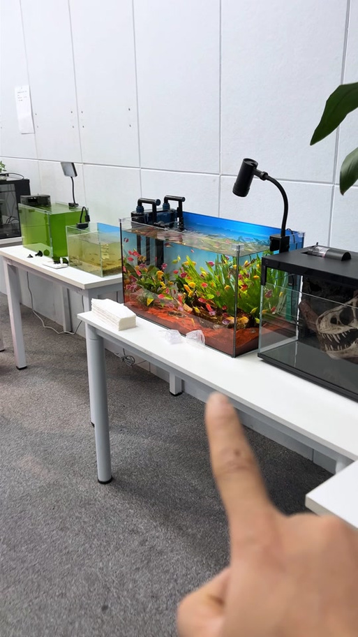 家里有个空鱼缸如何处理图标