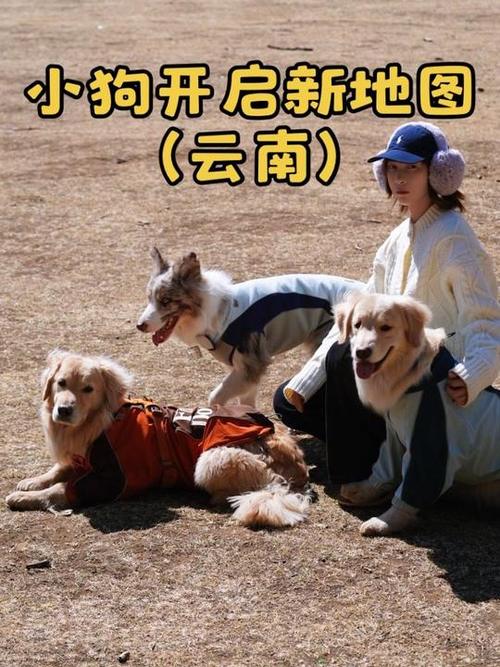 年初带狗狗去哪里旅游